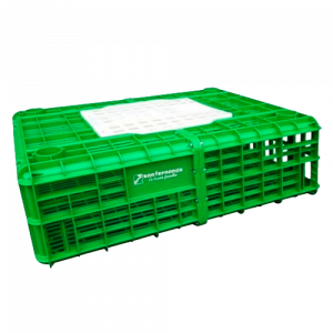 Industrial Tekplast | Parihuelas plásticas y jabas de polietileno